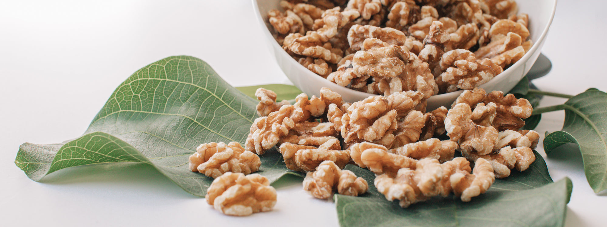 About Us | Empire Nut | EMPIRE NUT